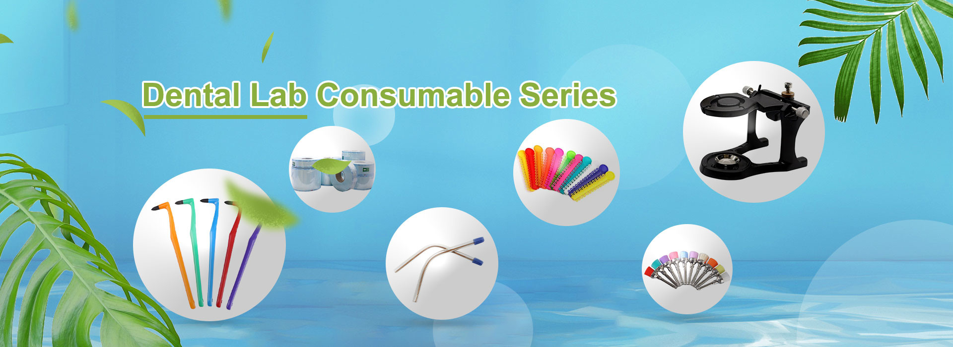 Quality Dental Crown Box & Dental Retainer Box factory from China