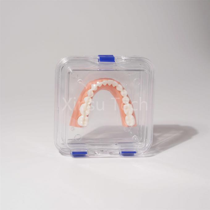 Plastic Lockable Dental Lab Crown Boxes With Clear Membranes